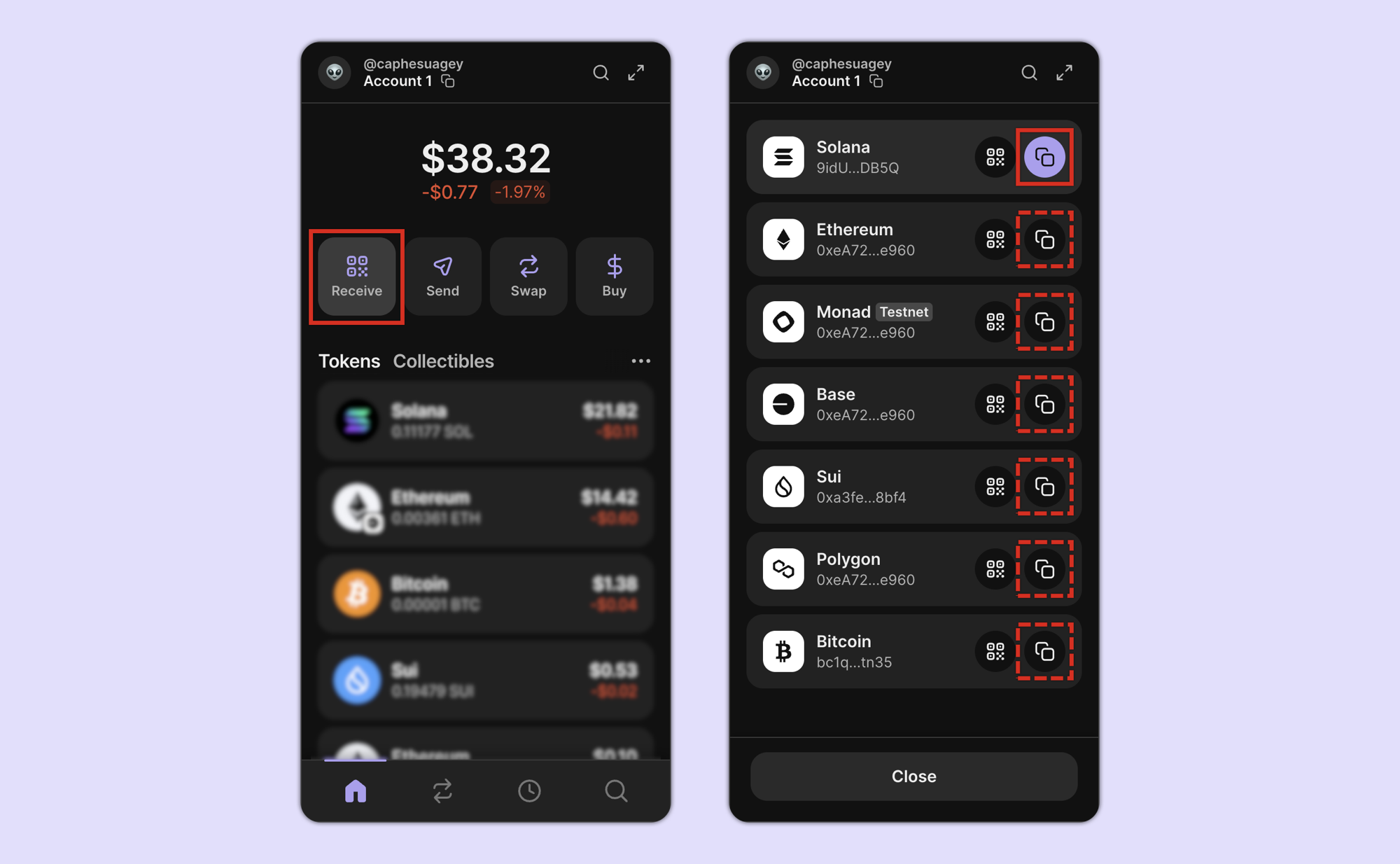 How to view your wallet activity on a blockchain explorer – Phantom